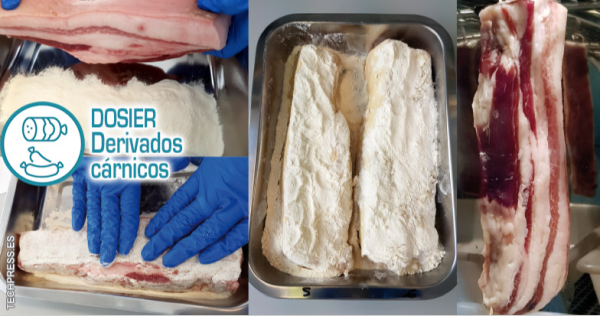 Microencapsulado de sal marina y extractos vegetales naturales para la ...